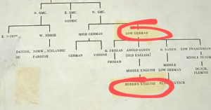 Unveiling Linguistic Roots: The Germanic Influence on the English Language
