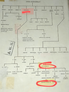 Unveiling Linguistic Roots: The Germanic Influence on the English Language